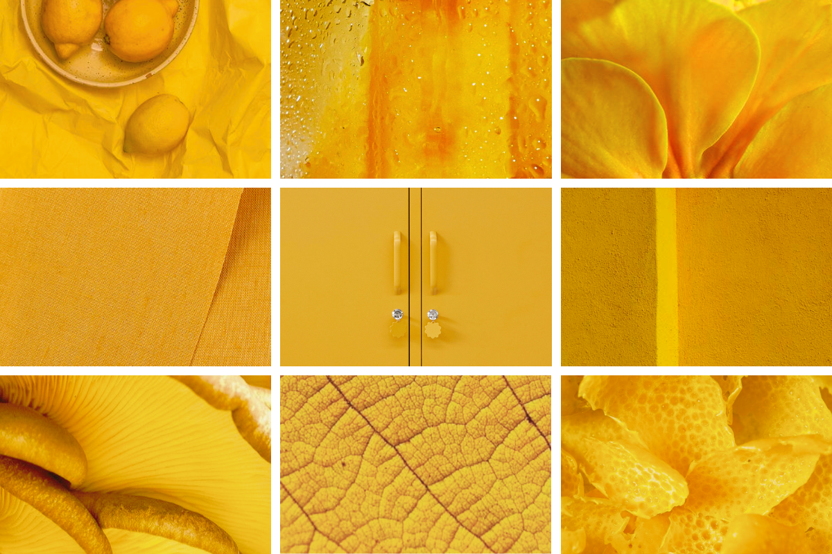 Color Combinations For Mustard Yellow